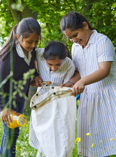 Lady Royd Primary - Forest School