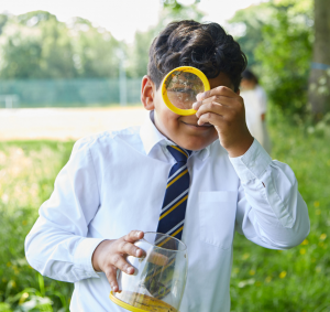 Lady Royd Primary - Forest School